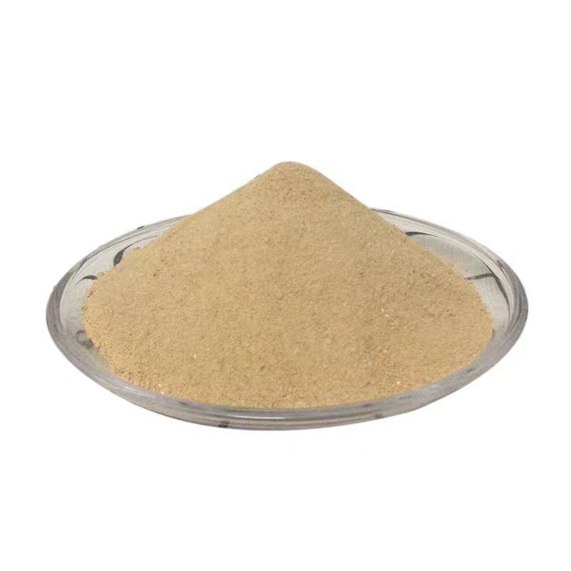 Add Depth And Flavor To Your Product With Our BBQ Seasoning Powder